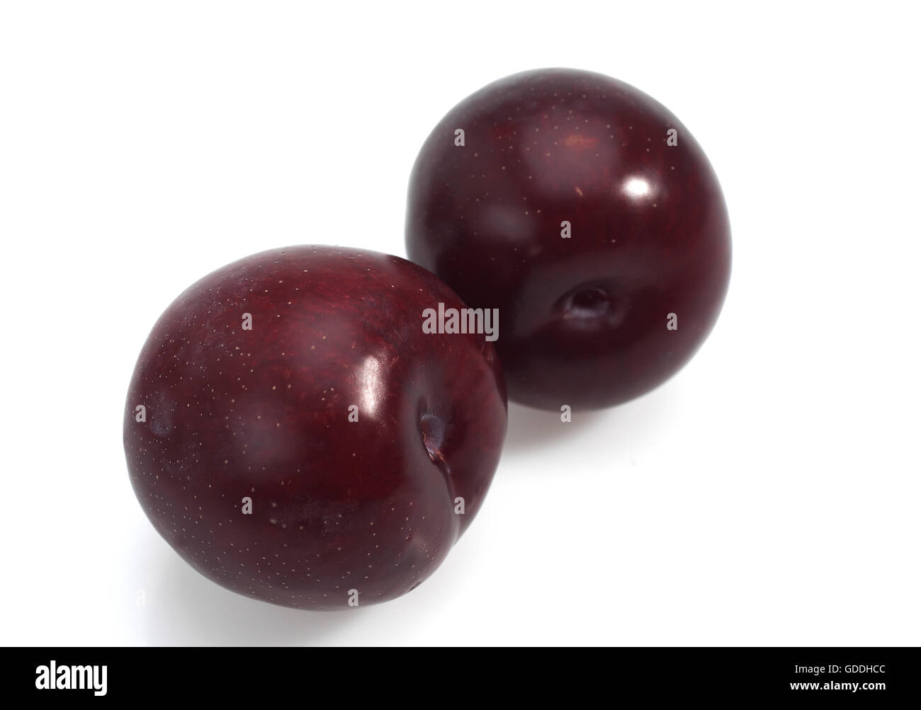Plum prunus domestica tree fruits Cut Out Stock Images & Pictures - Alamy