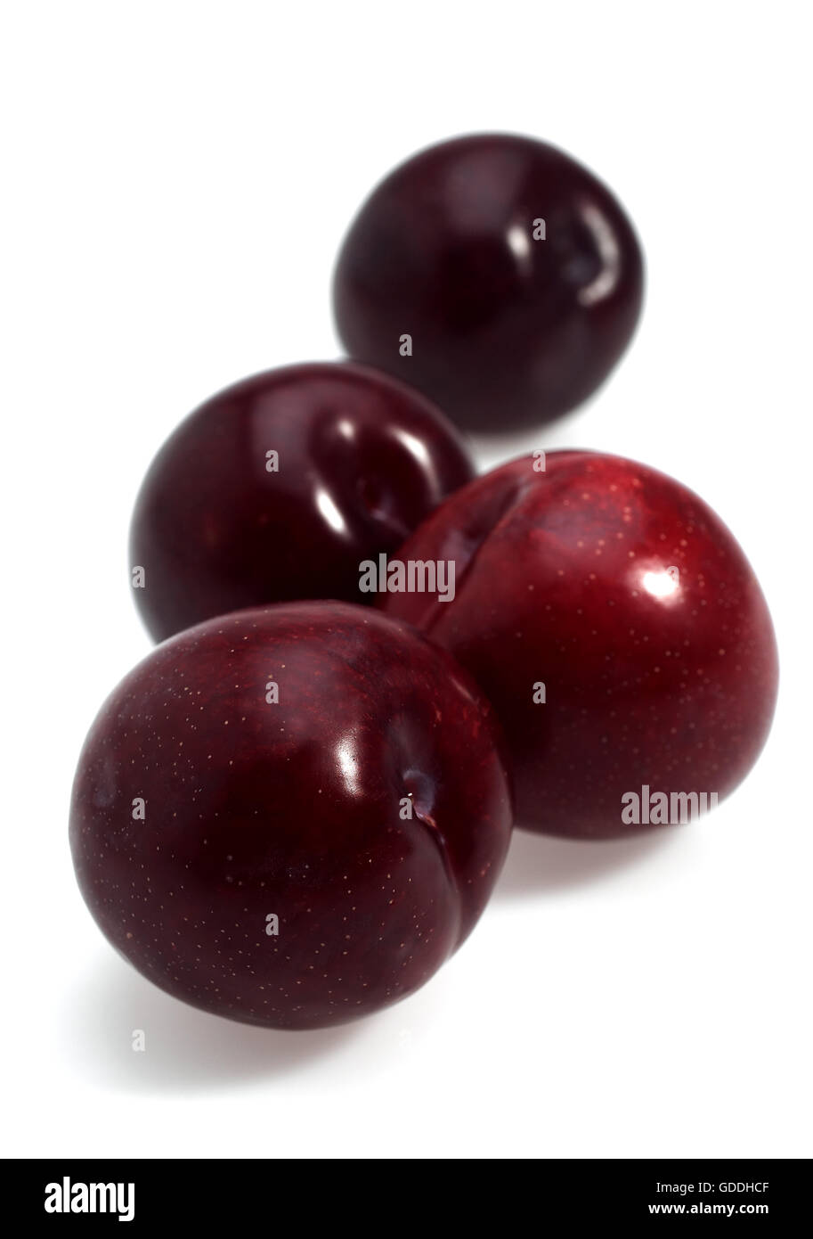Plum prunus domestica tree fruits Cut Out Stock Images & Pictures - Alamy