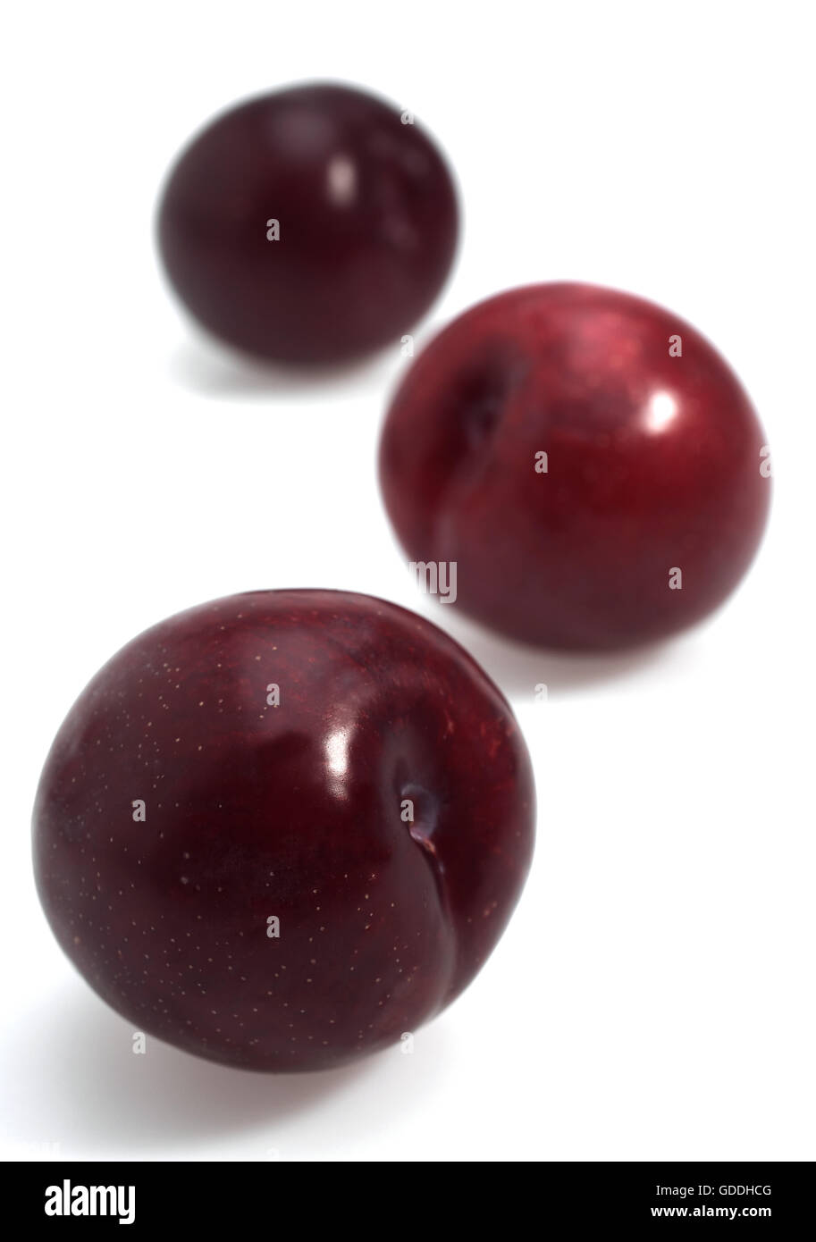 Prunus domestica plum red hi-res stock photography and images - Alamy