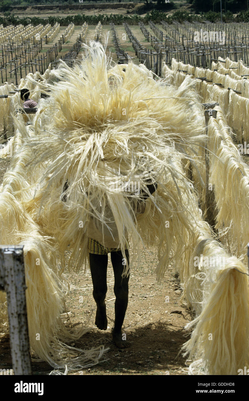 Sisal factory in madagascar sisal High Resolution Stock Photography and ...