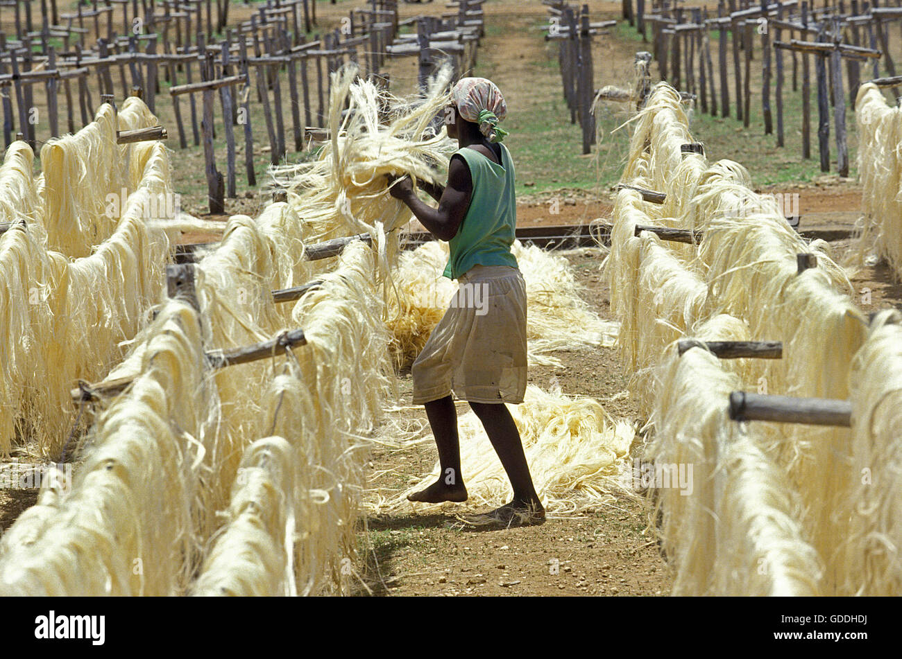 Sisal factory in madagascar sisal High Resolution Stock Photography and ...