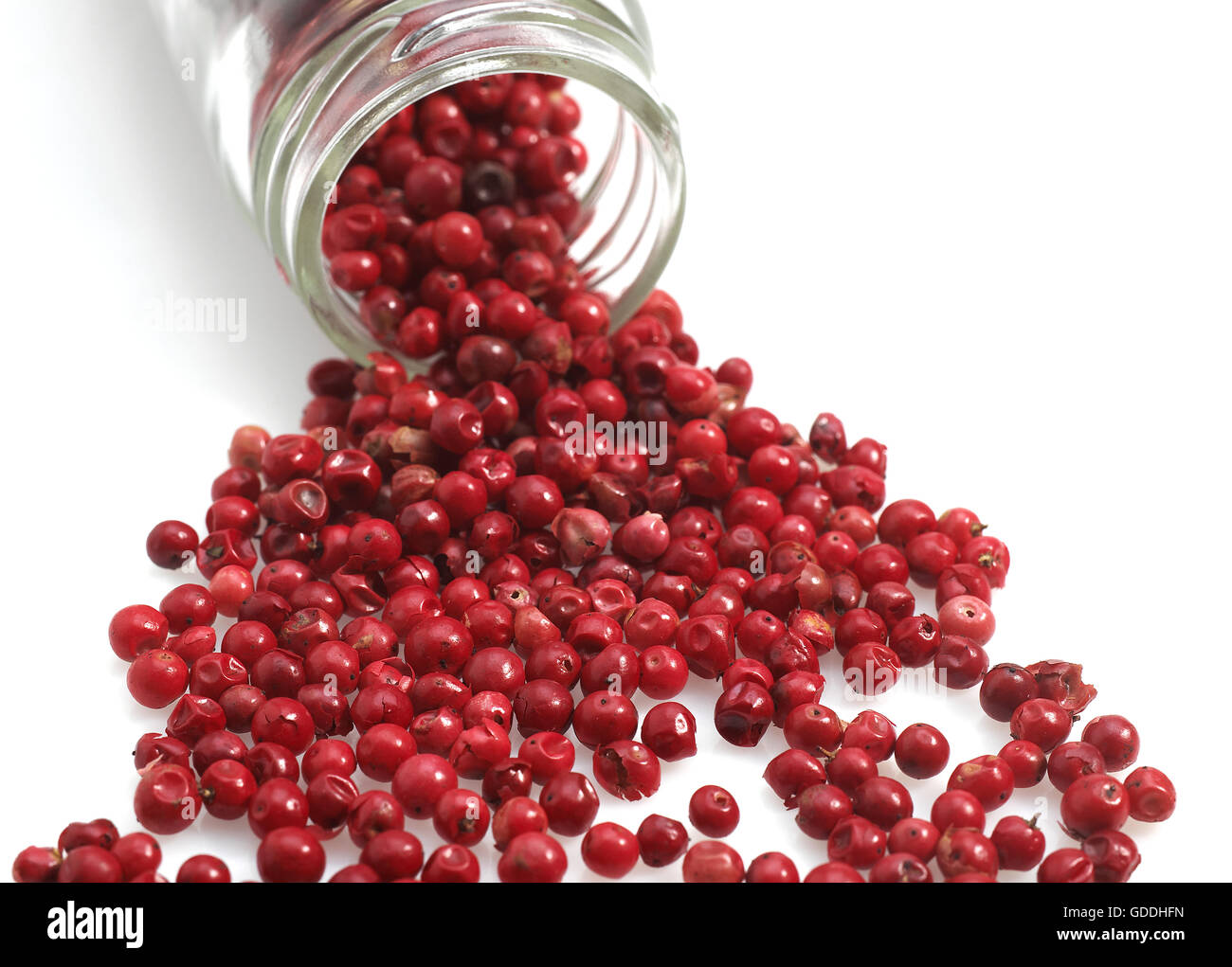 Pink Pepper, schinus terebinthifolius, Berries against White Background ...