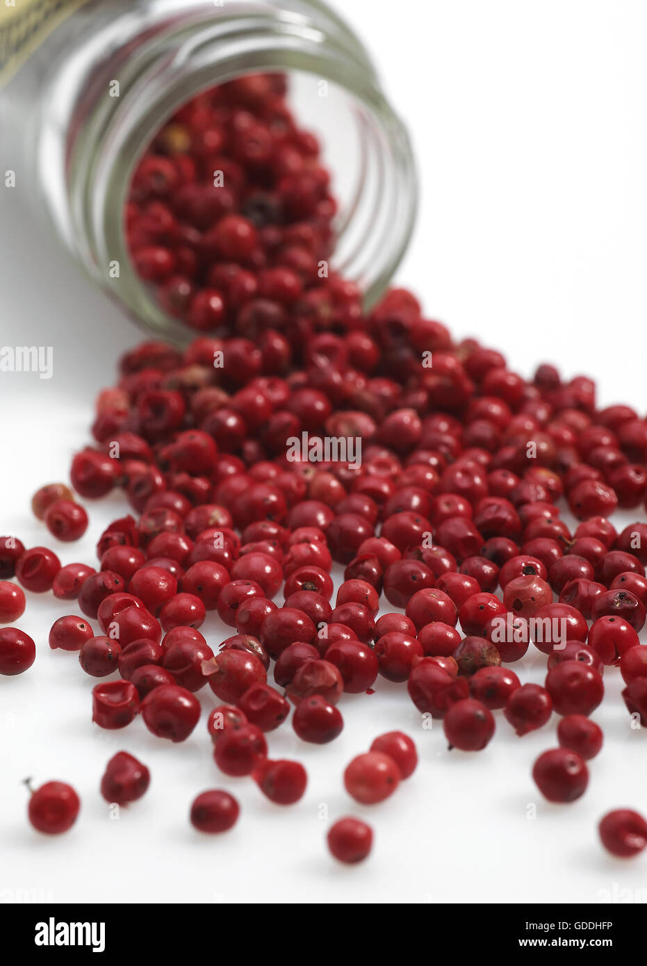 Brazilian pepper schinus terebinthifolius hi-res stock photography and ...