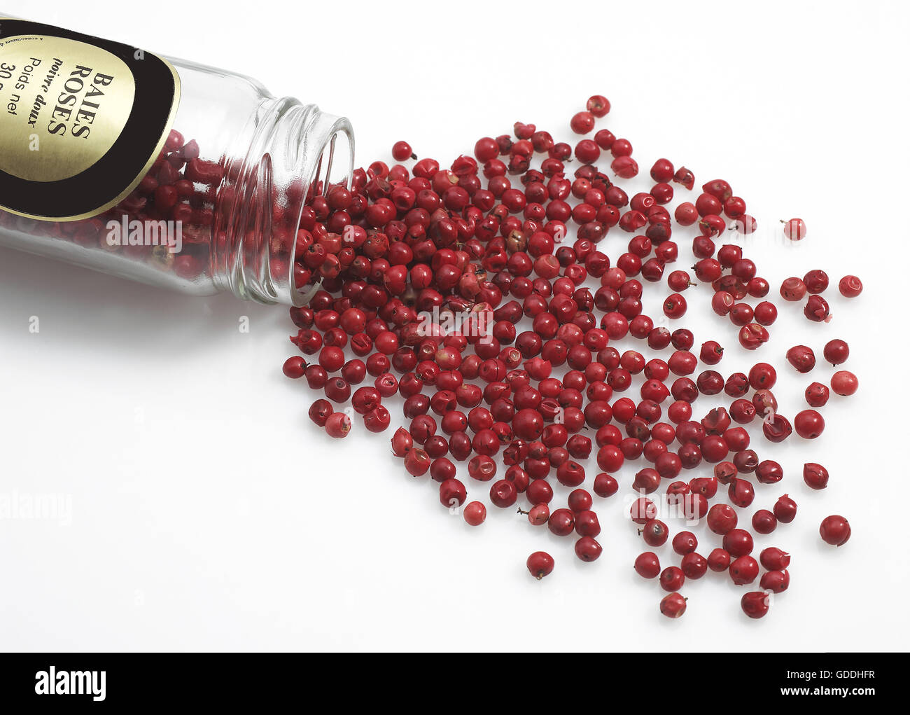 Pink Pepper, schinus terebinthifolius, Berries against White Background ...