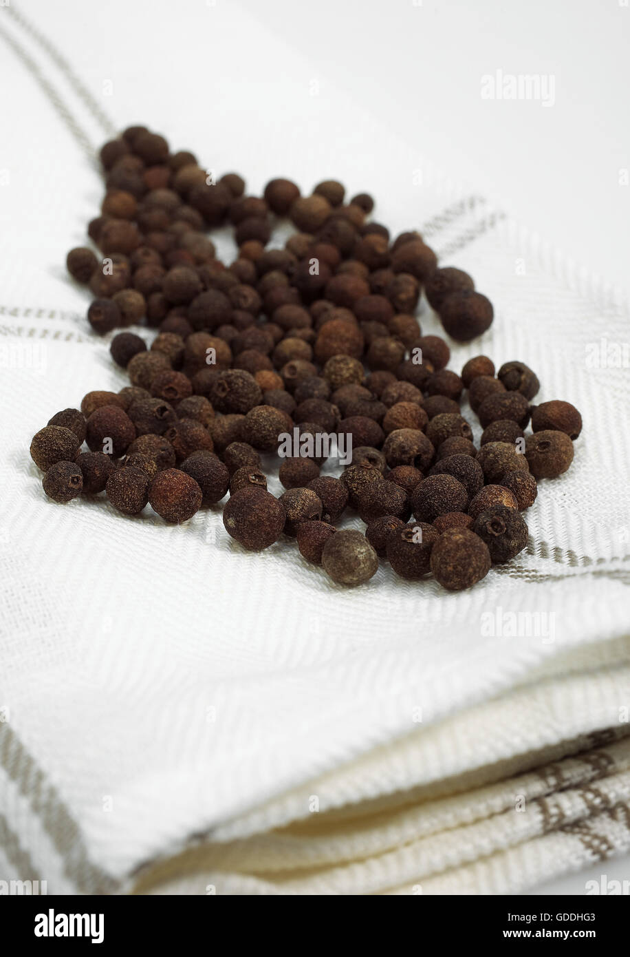 Pimenta officinalis hi-res stock photography and images - Alamy
