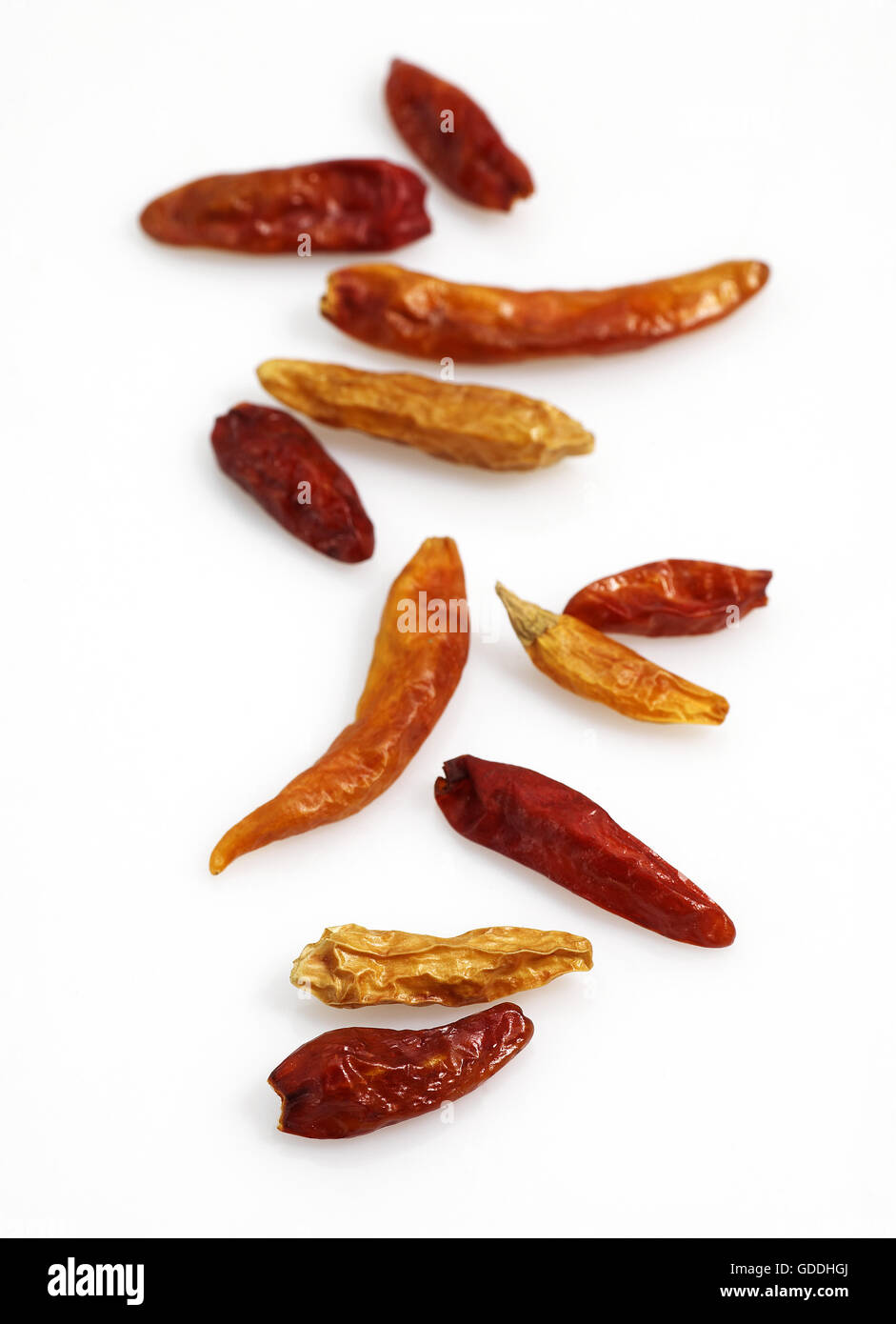 Bird Pepper, capsicum frutescens against White Background Stock Photo ...