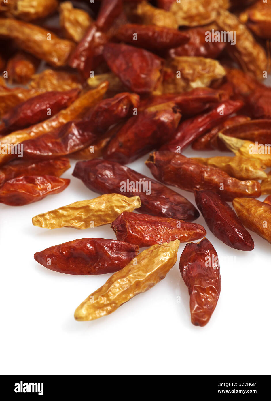 Bird Pepper, capsicum frutescens against White Background Stock Photo ...