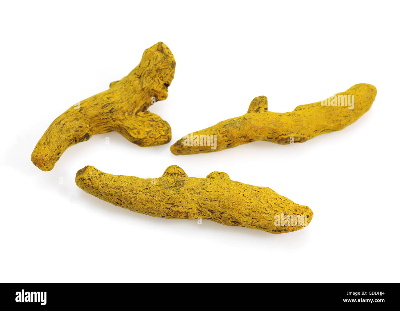 Curcuma longa turmeric Cut Out Stock Images & Pictures - Alamy