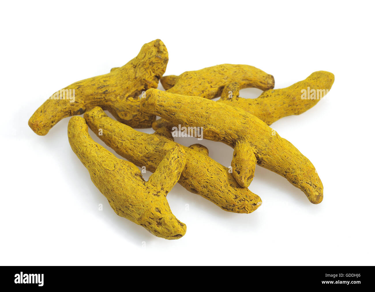 Root of Turmeric, curcuma longa, an Indian Spice against White ...
