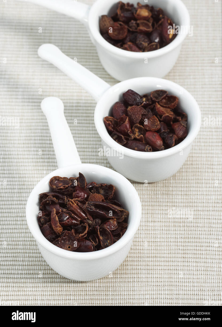 DOG ROSE DRY FRUITS Stock Photo - Alamy