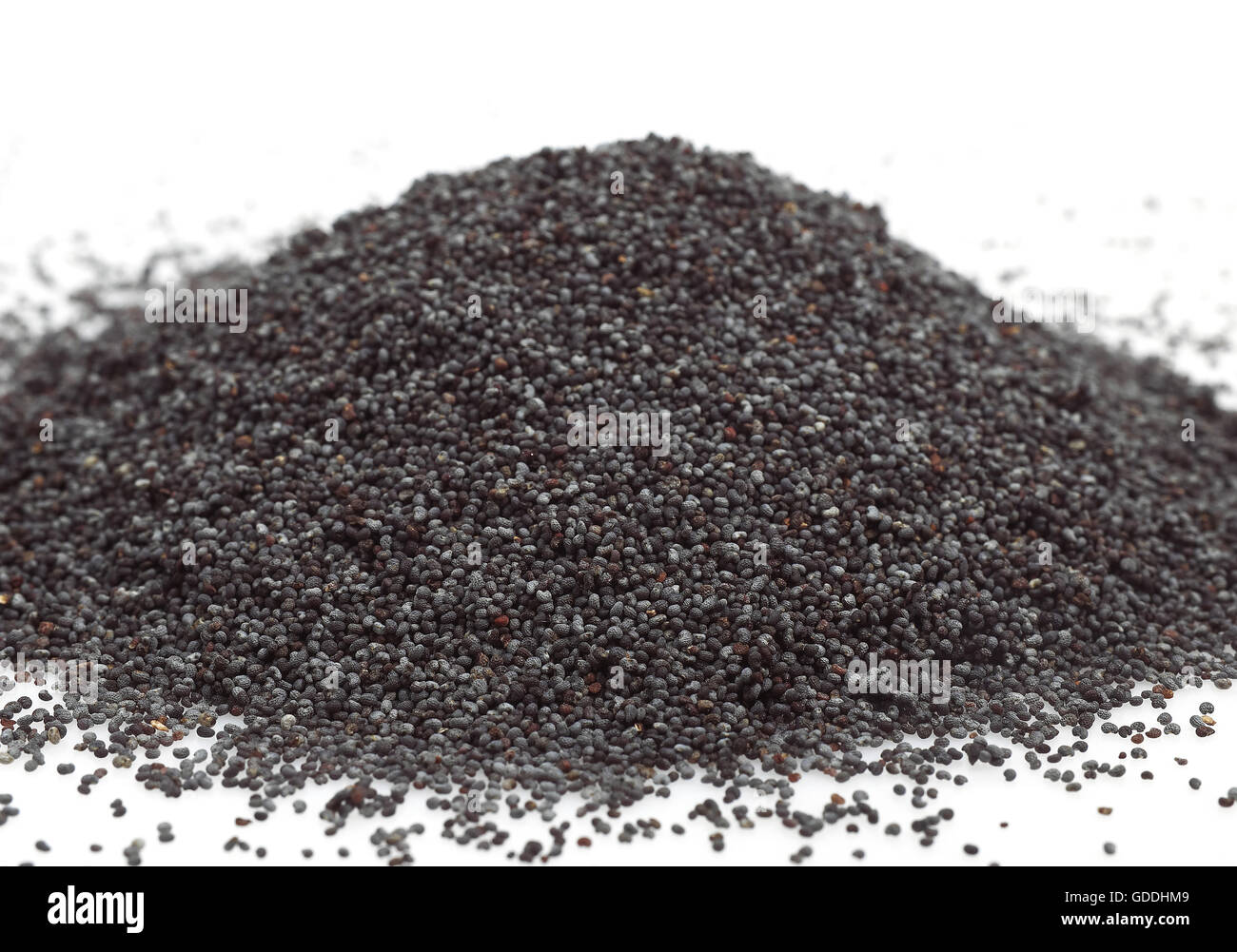 Poppy Seeds, papaver sp., Seeds against White Background Stock Photo ...