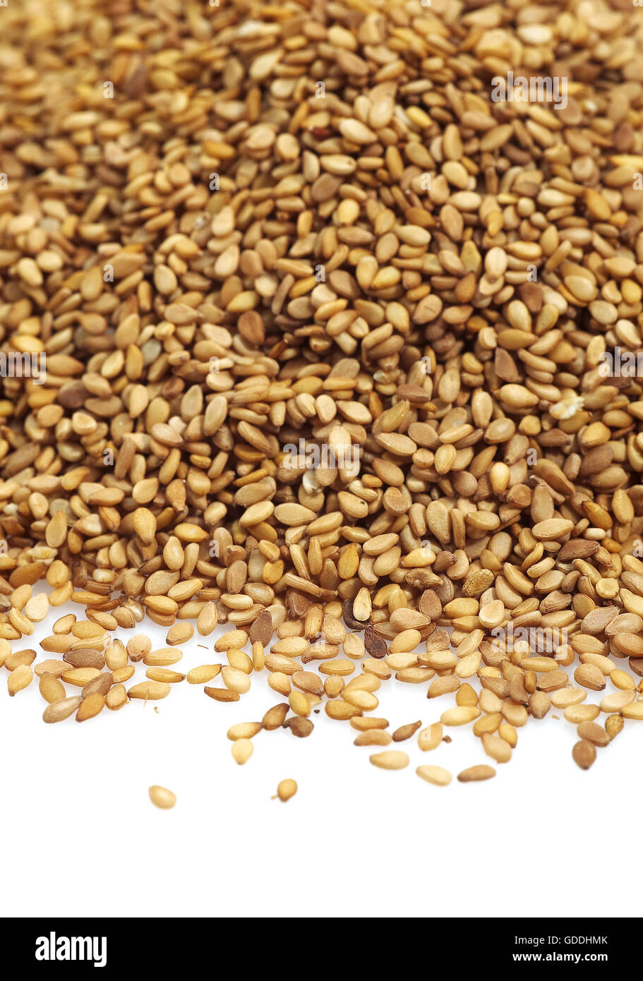 Gold Coloured Sesam, sesamum indicum, Seeds against White Background ...