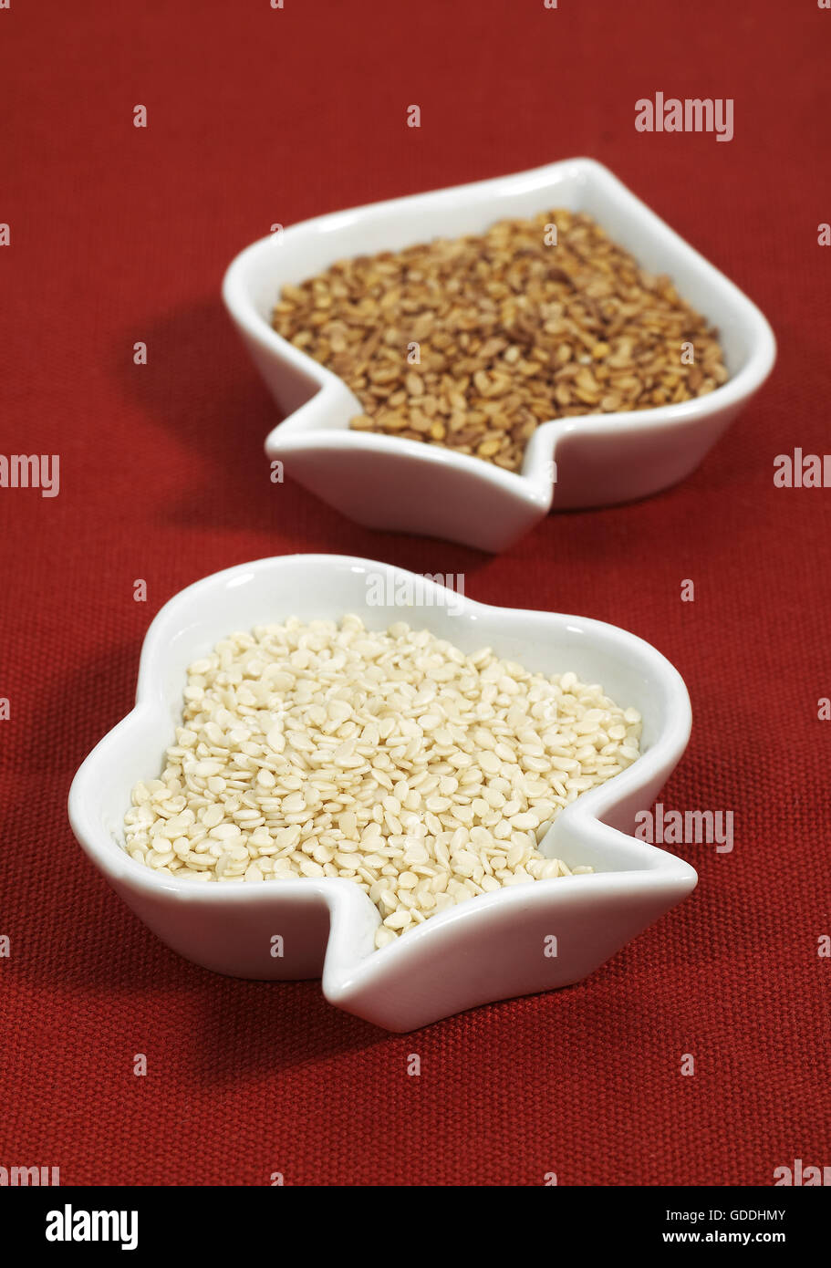 GOLD COLOURED SESAM AND NATURAL SESAM SEEDS Stock Photo - Alamy