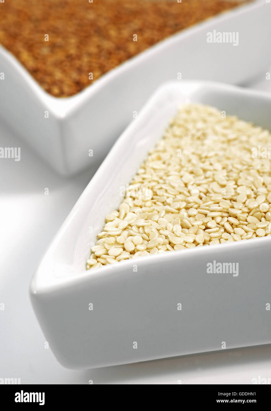 Natural Sesame and Gold Coloured Sesam, sesamum indicum, Seeds against ...
