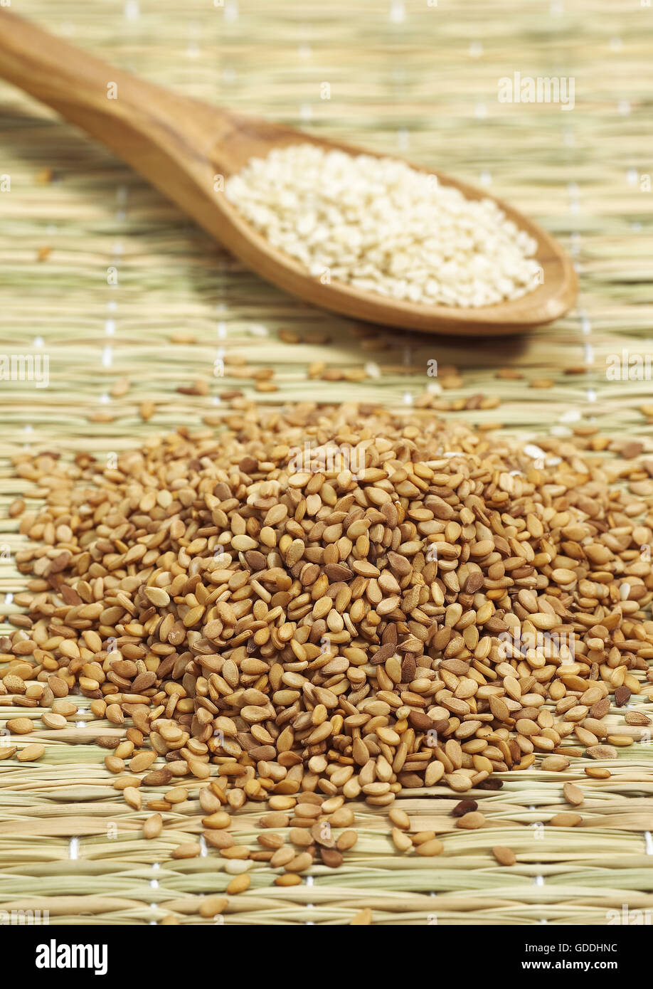 Seeds of Natural Sesame and Gold Coloured Sesam, sesamum indicum Stock ...