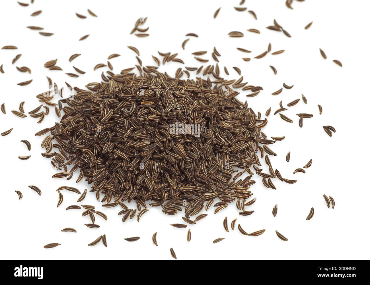 CARAWAY SEEDS carum carvi AGAINST WHITE BACKGROUND Stock Photo - Alamy