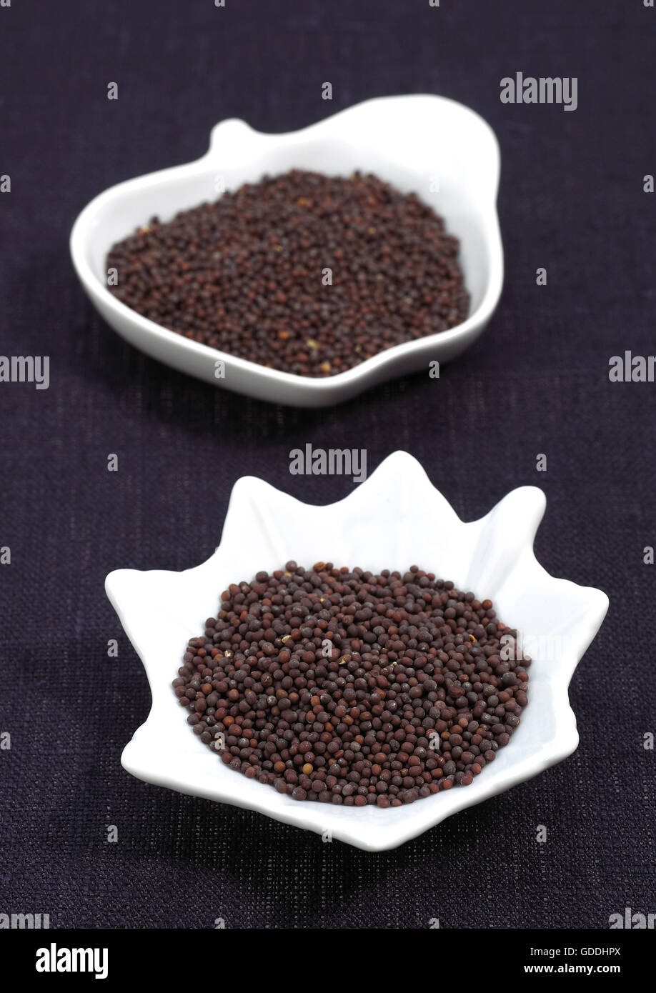 BLACK MUSTARD SEEDS sinapis nigra Stock Photo - Alamy