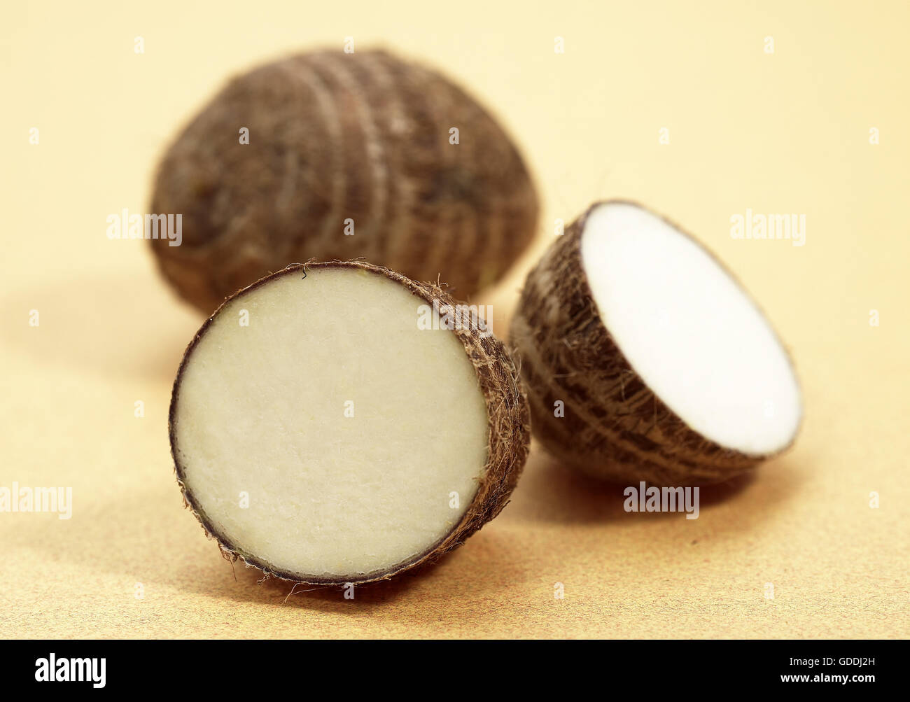 Eddo tuber dasheen plant hi-res stock photography and images - Alamy