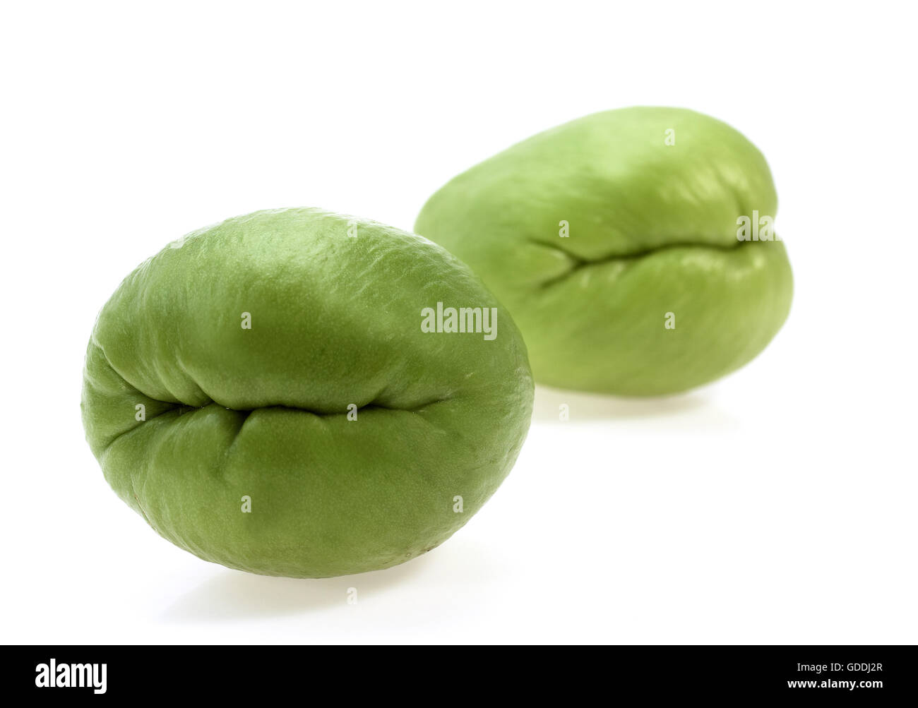 Chayote sechium edule mexican fruit Cut Out Stock Images & Pictures - Alamy