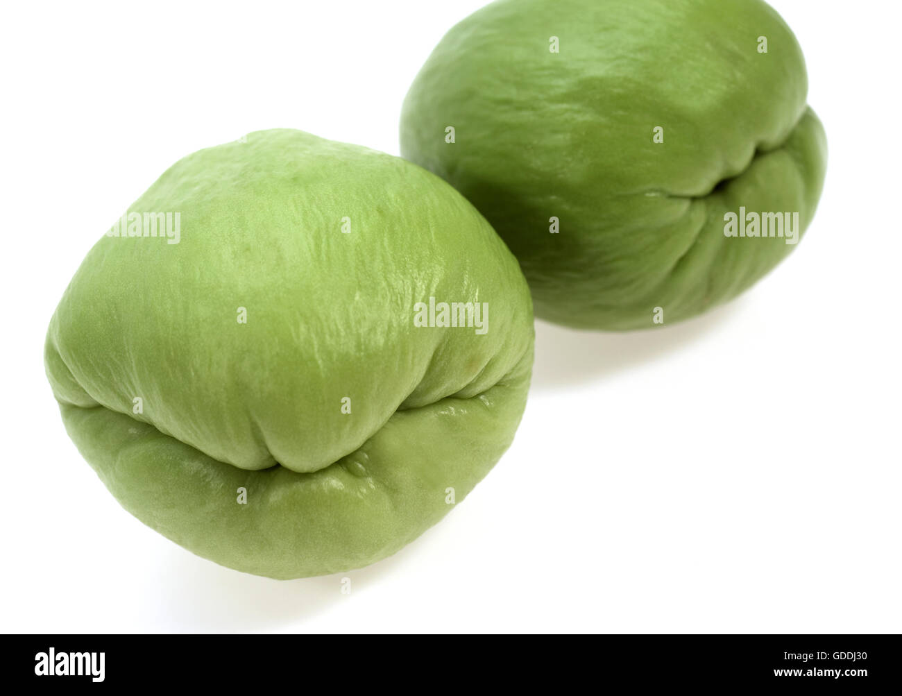 Chayote sechium edule mexican fruit Cut Out Stock Images & Pictures - Alamy