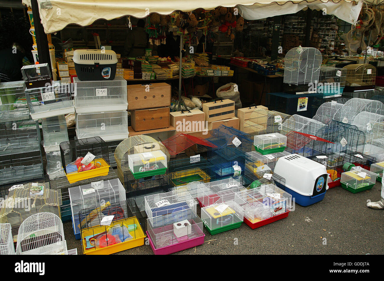 The Bird Market on Ile de la Cite in Paris Stock Photo - Alamy
