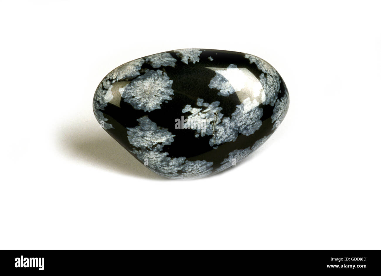 Speckled Obsidian Stone against White Background Stock Photo - Alamy