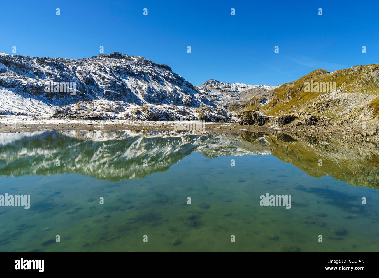 Lais Da Rims High Resolution Stock Photography and Images - Alamy