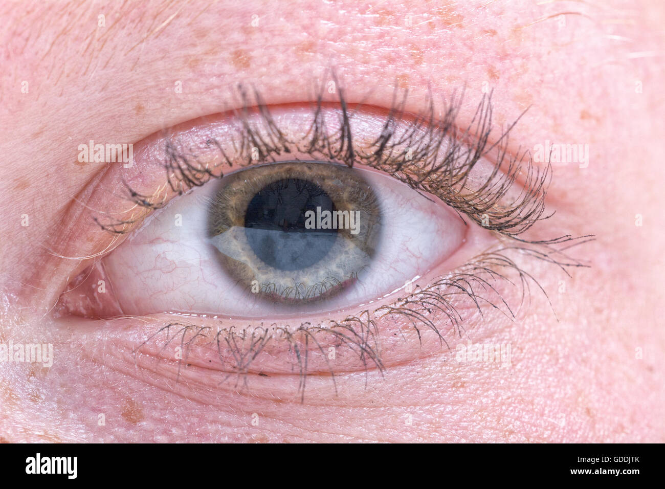 Human close up eye hi-res stock photography and images - Alamy