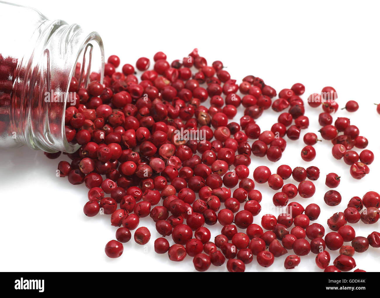 PINK PEPPER AGAINST WHITE BACKGROUND Stock Photo - Alamy