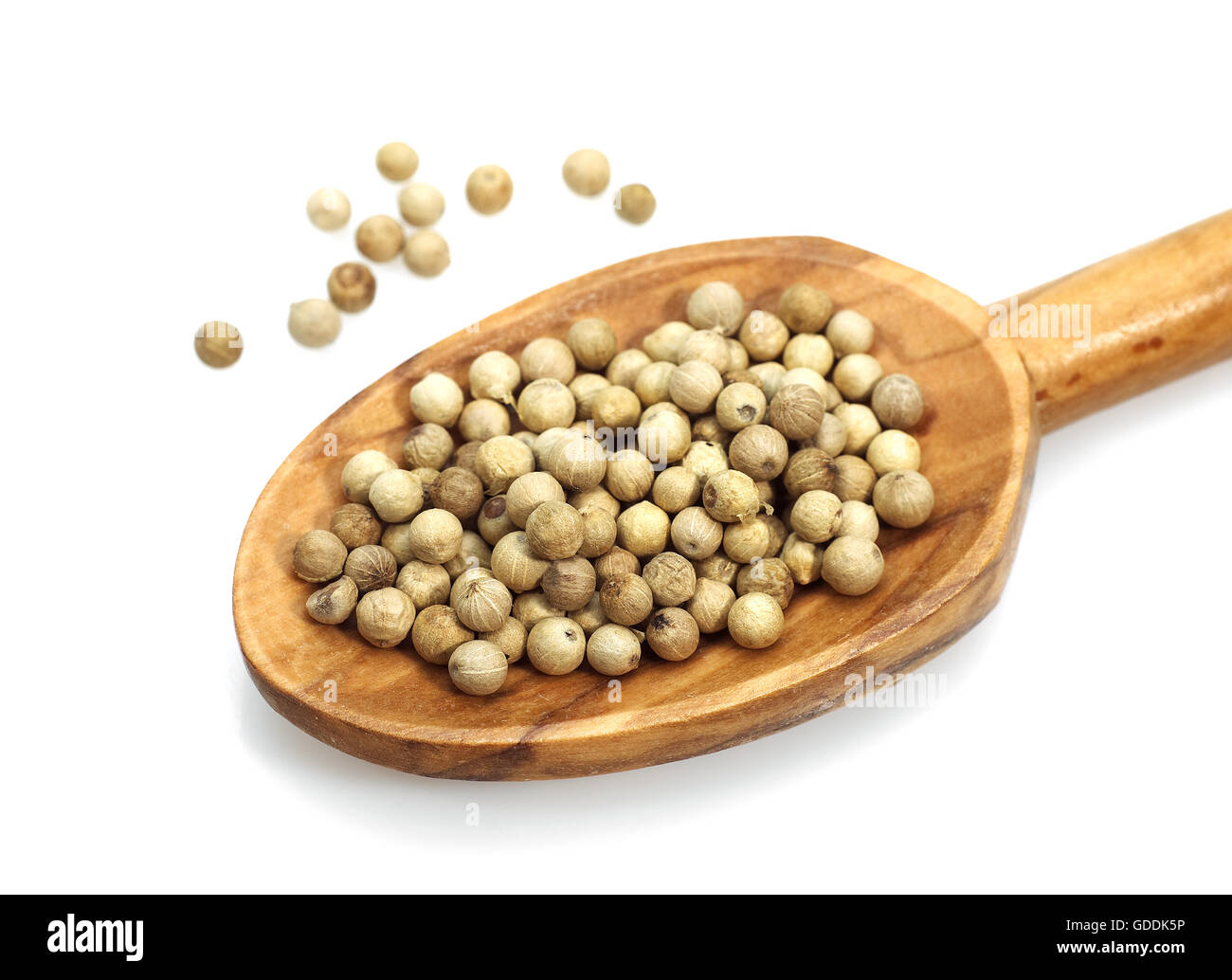 WHITE PEPPERCORN AGAINST WHITE BACKGROUND Stock Photo - Alamy