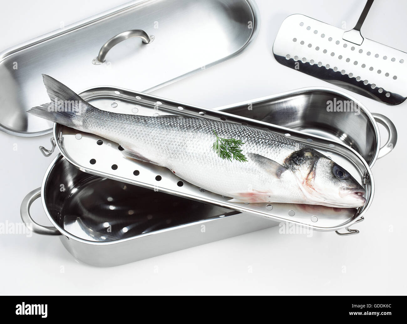FRESH BASS dicentrarchus labrax READY TO COOK Stock Photo - Alamy