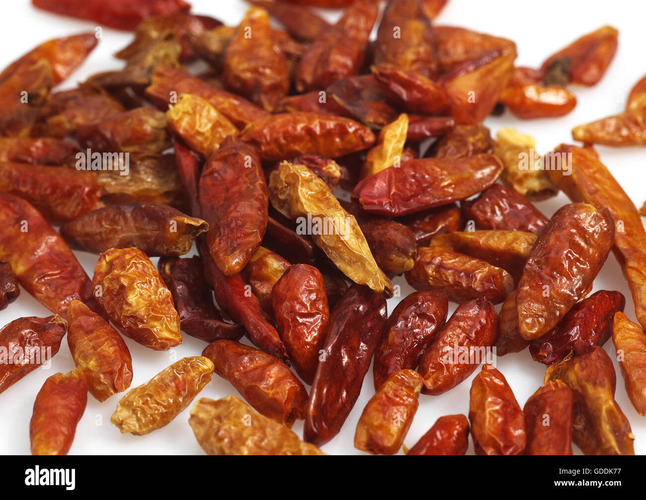 BIRD PEPPER AGAINST WHITE BACKGROUND Stock Photo - Alamy