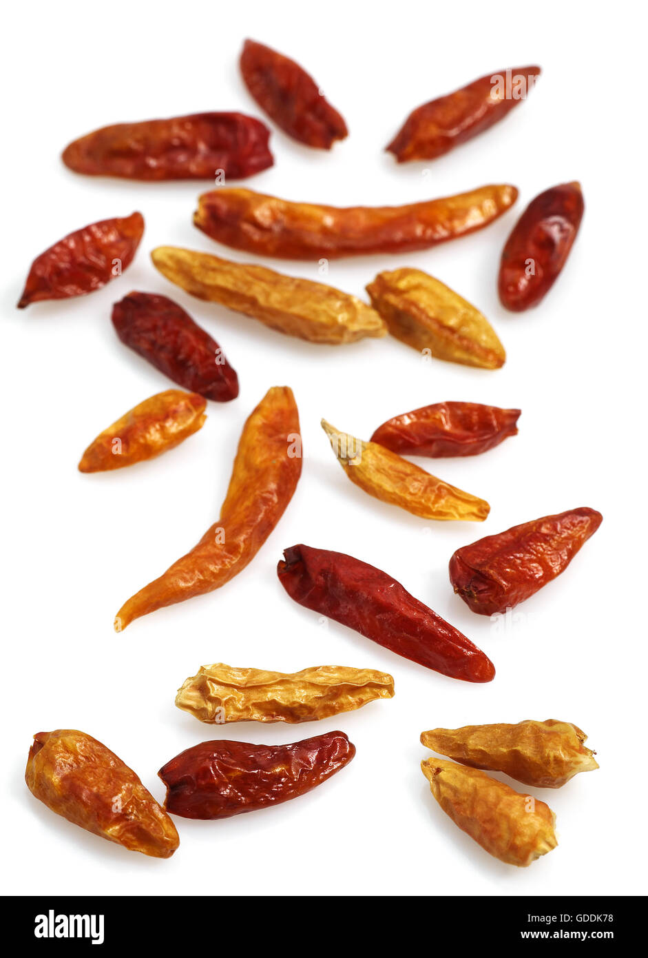 BIRD PEPPER AGAINST WHITE BACKGROUND Stock Photo - Alamy