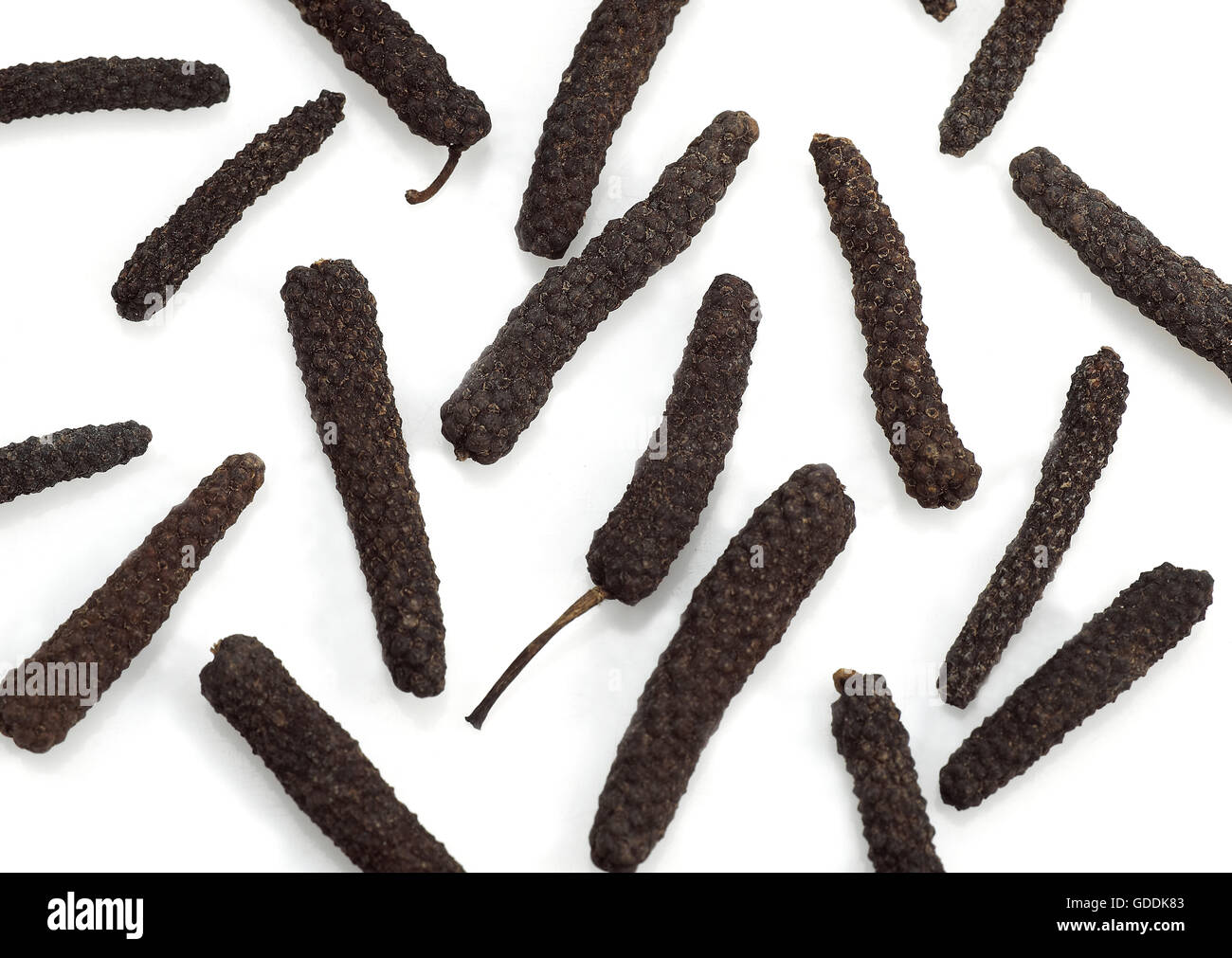 LONG PEPPER AGAINST WHITE BACKGROUND Stock Photo - Alamy