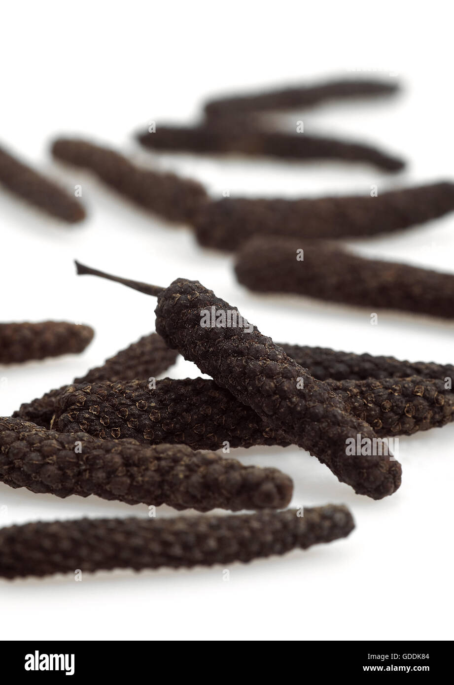 LONG PEPPER AGAINST WHITE BACKGROUND Stock Photo - Alamy