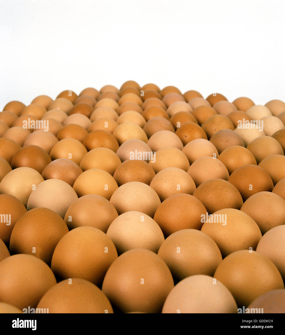 Display of Chicken Eggs Stock Photo - Alamy