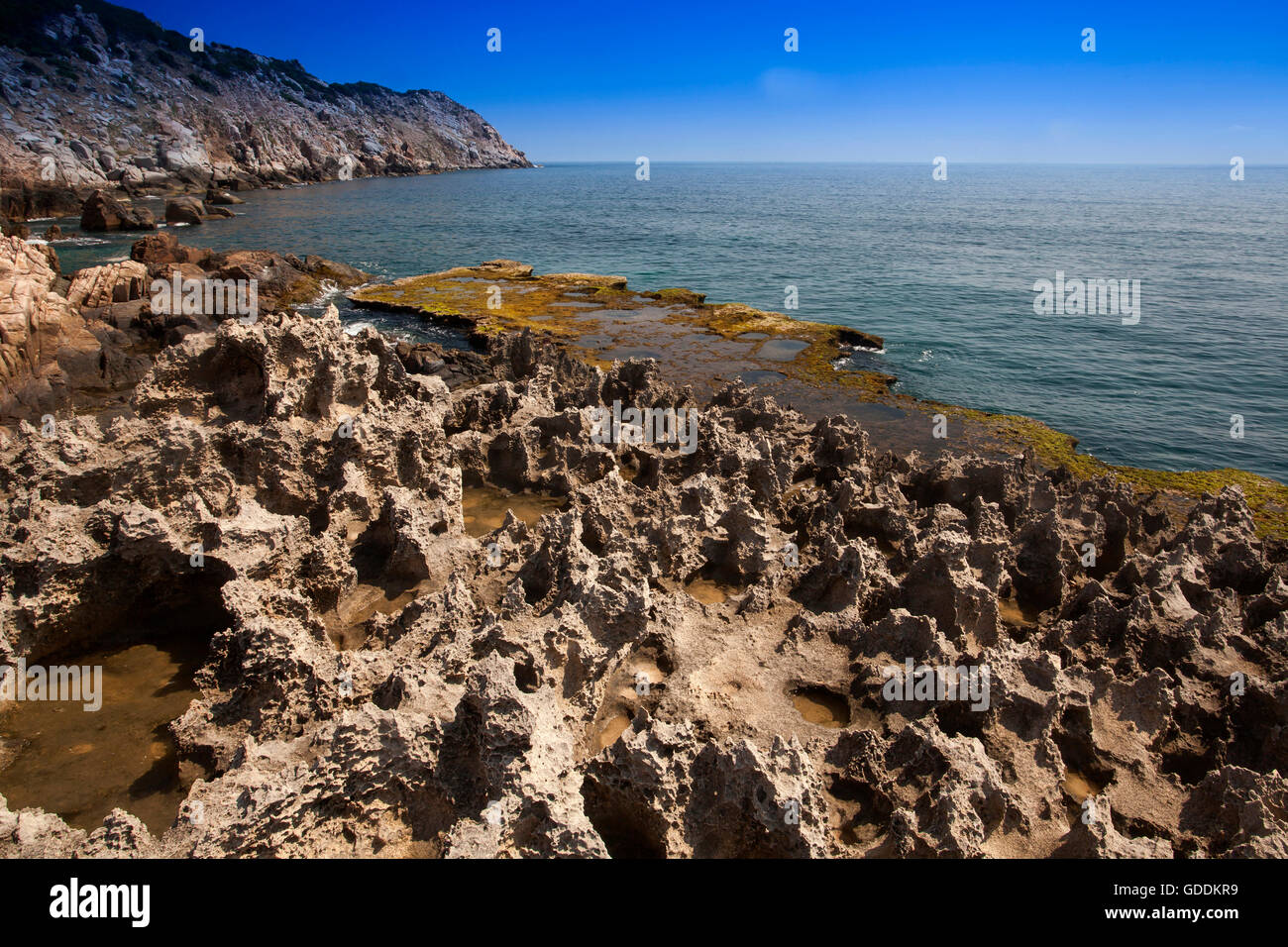 Rock coast in the national park Hang Rai,Vinh Hy,Ninh Thuan,Vietnam ...