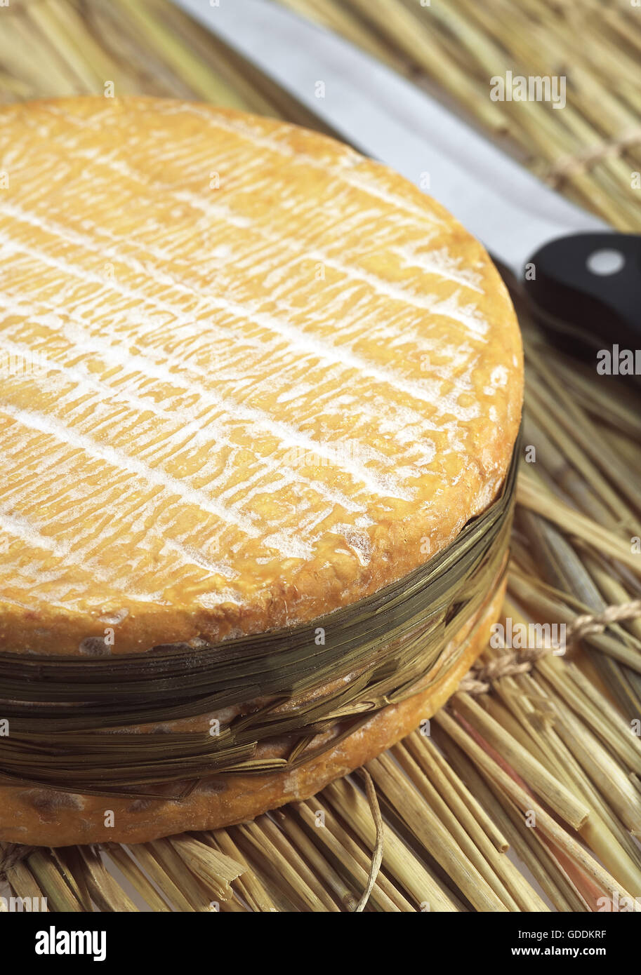 Livarot, French Cheese made in Normandy from Cow's Milk Stock Photo - Alamy