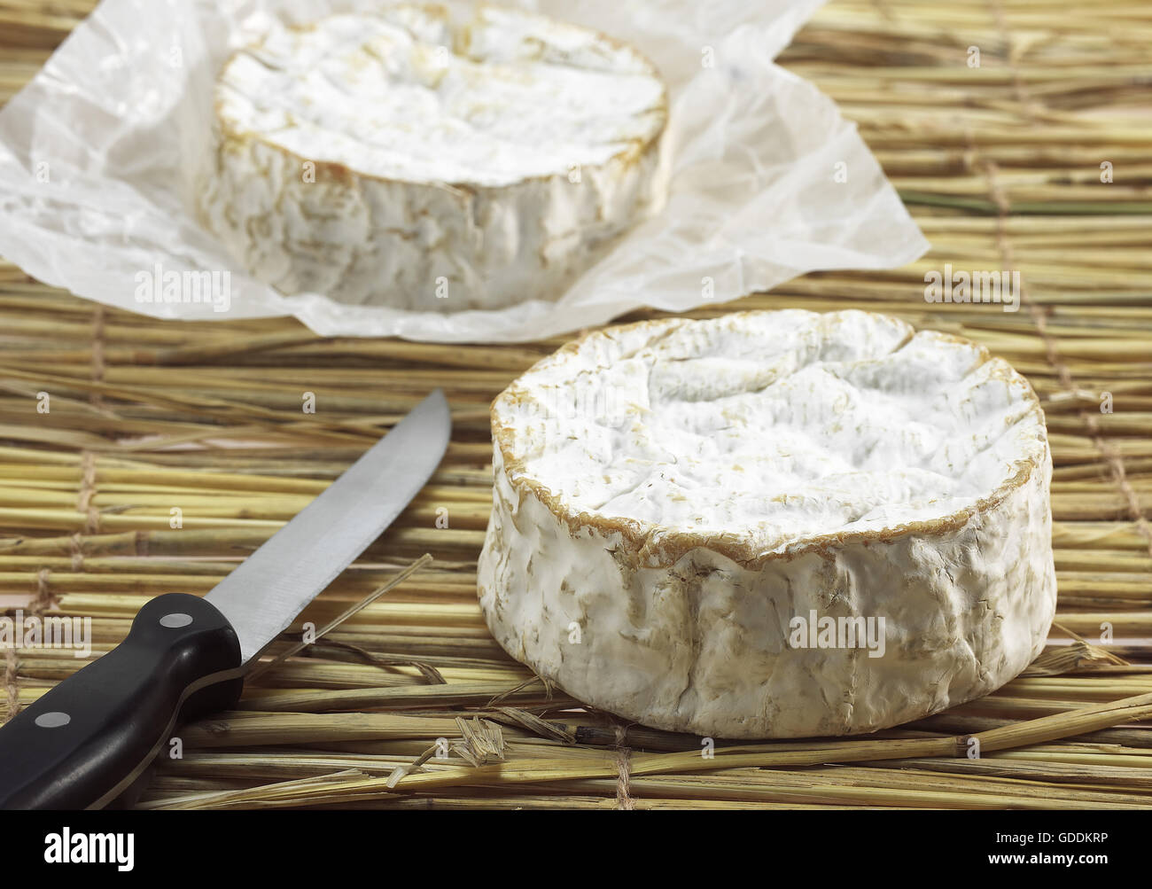 Camembert, French Cheese made in Normandy from Cow's Milk Stock Photo ...
