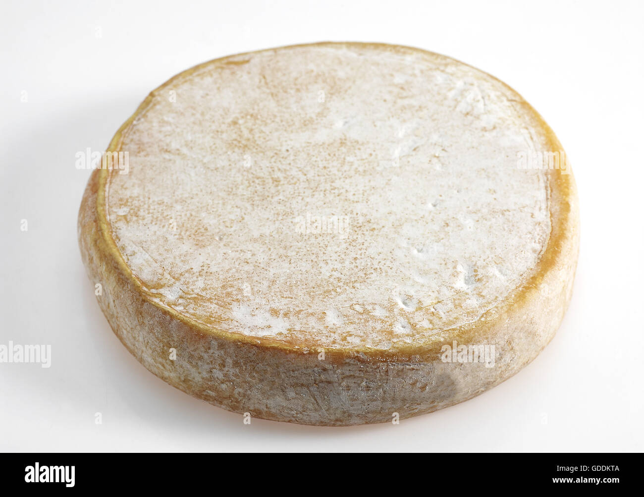 Reblochon, French Cheese from Savoie produced from Cow's Milk Stock ...