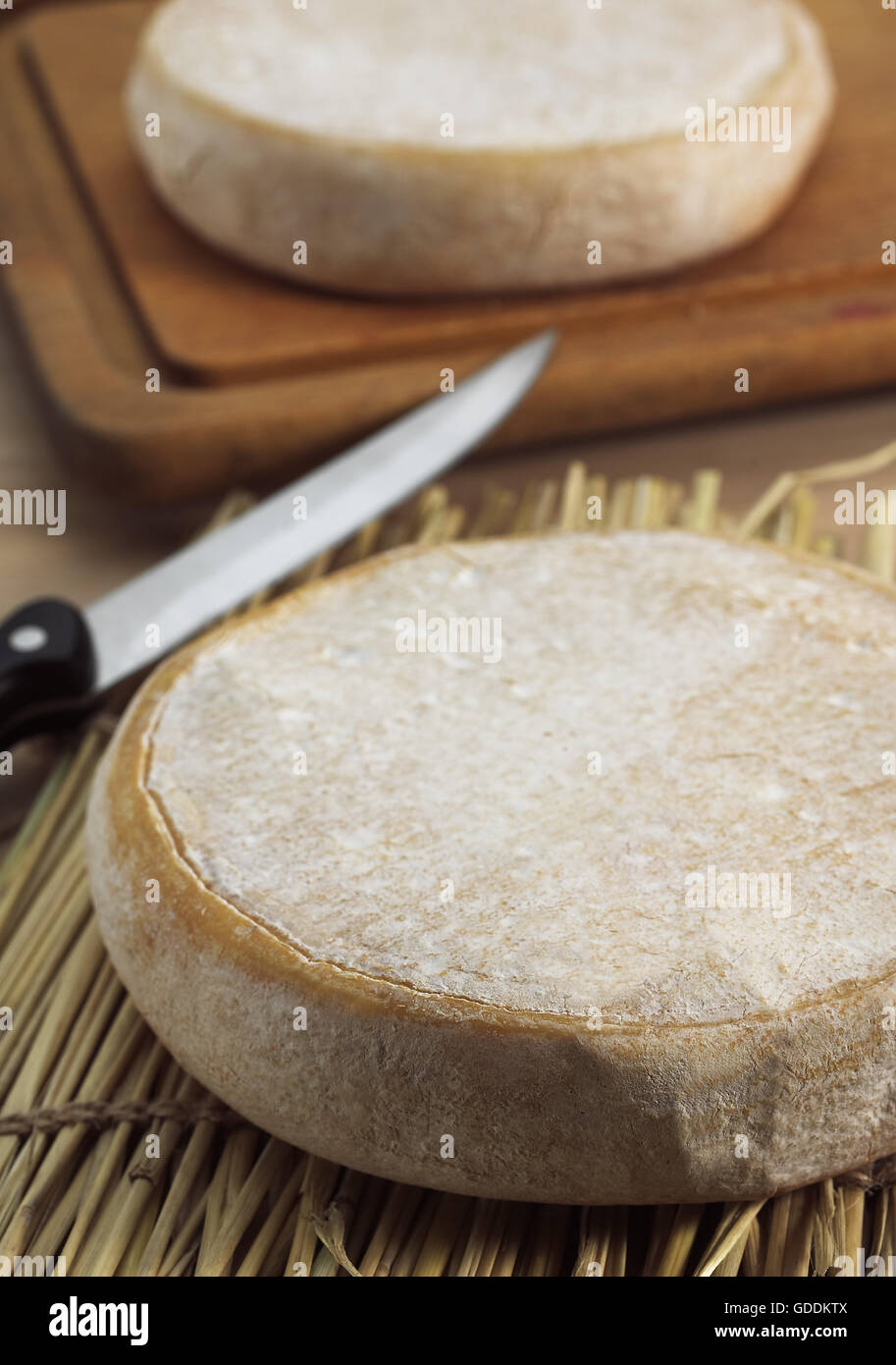 Reblochon, French Mountain Cheese produced from Cow's Milk Stock Photo ...