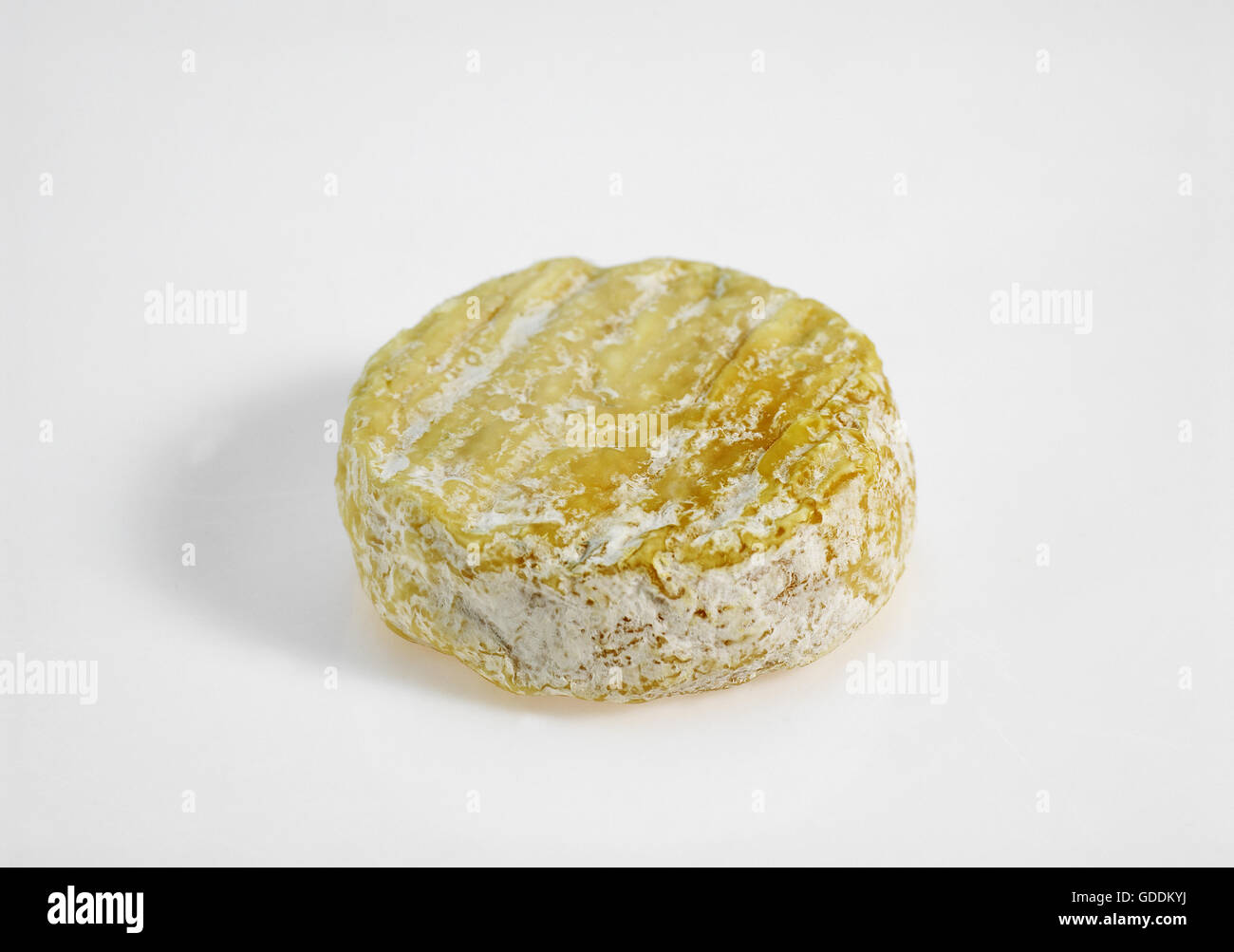 French Cheese Called Saint Marcelin, Cheese produced from Cow's Milk ...