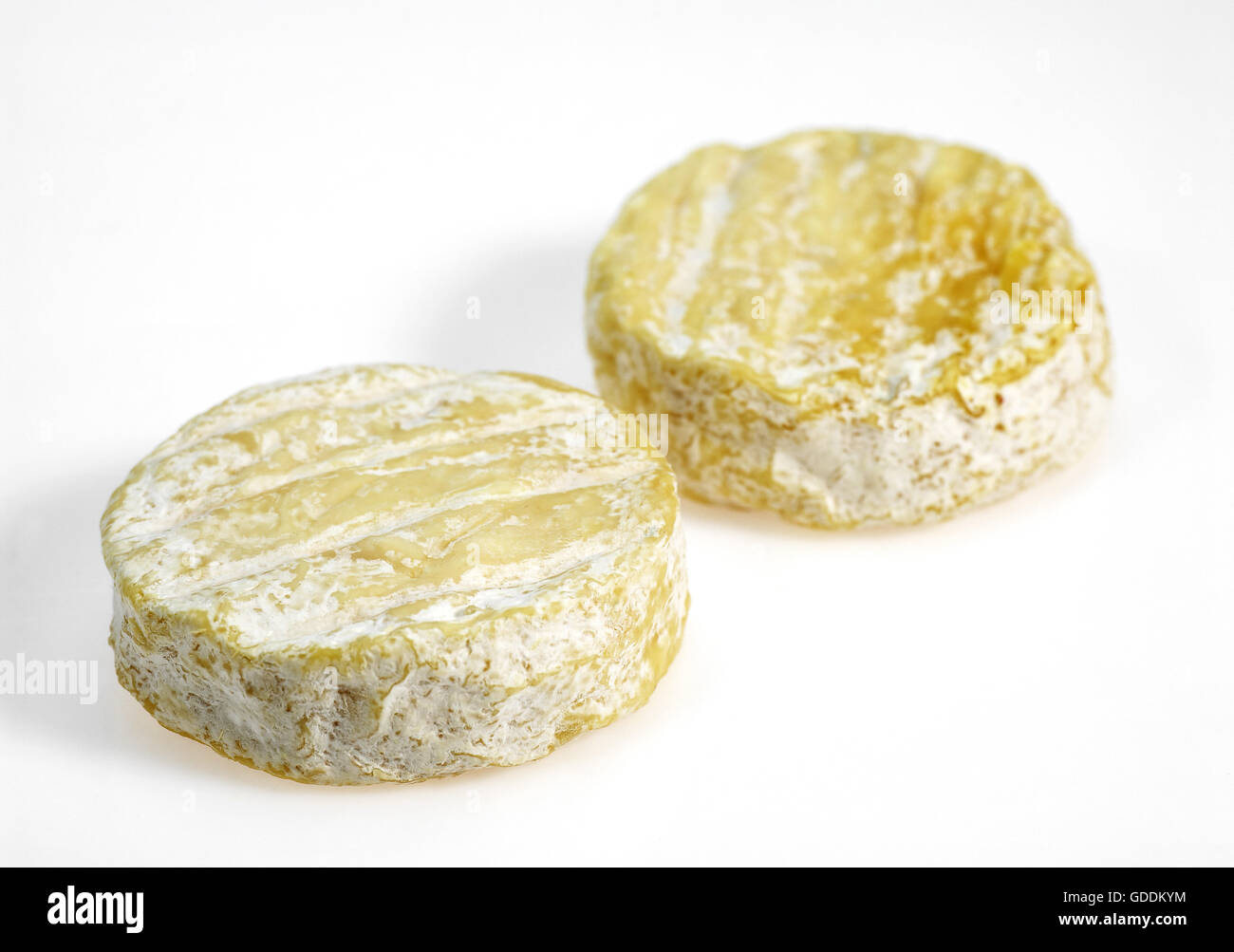 French Cheese called Saint Marcellin produced from Cow's Milk Stock ...