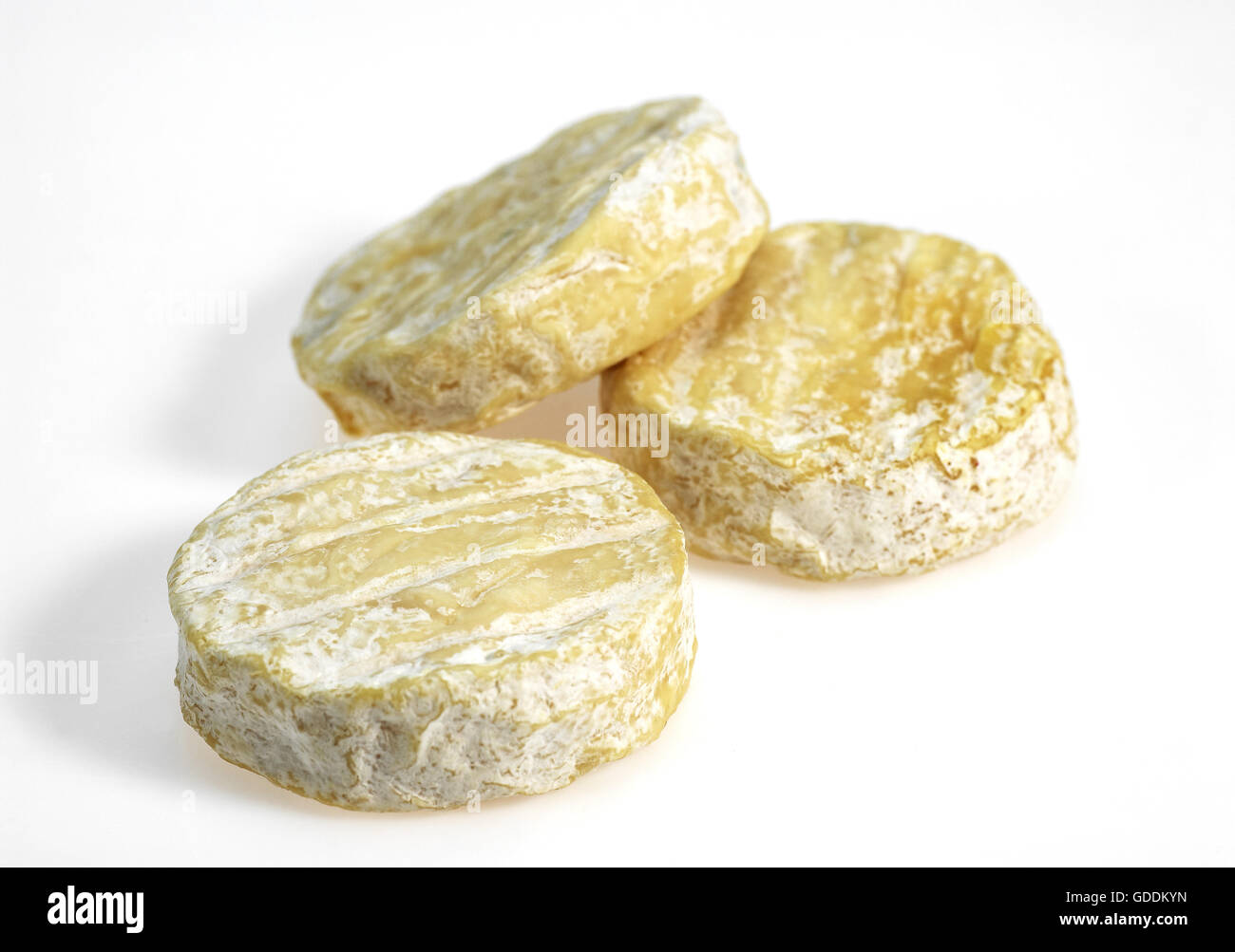 French Cheese Called Saint Marcelin, Cheese produced from Cow's Milk ...