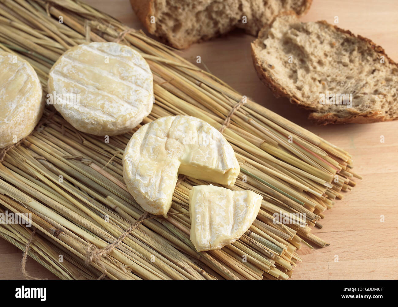 SAINT MARCELLIN, A FRENCH CHEESE MADE FROM COW'S MILK Stock Photo - Alamy
