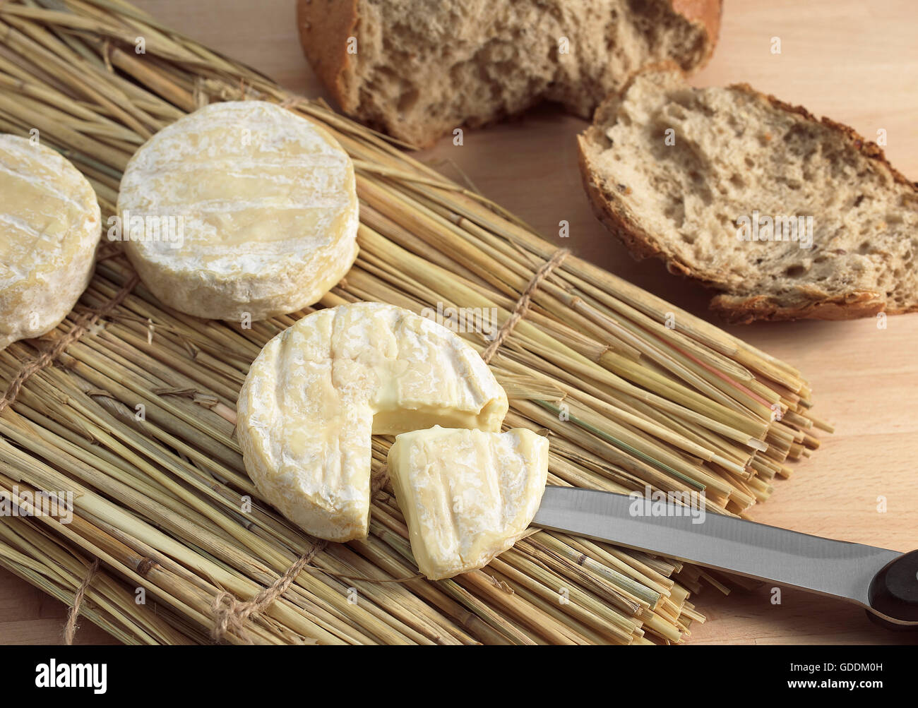 Saint Marcellin, French Cheese produced from Cow's Milk Stock Photo - Alamy