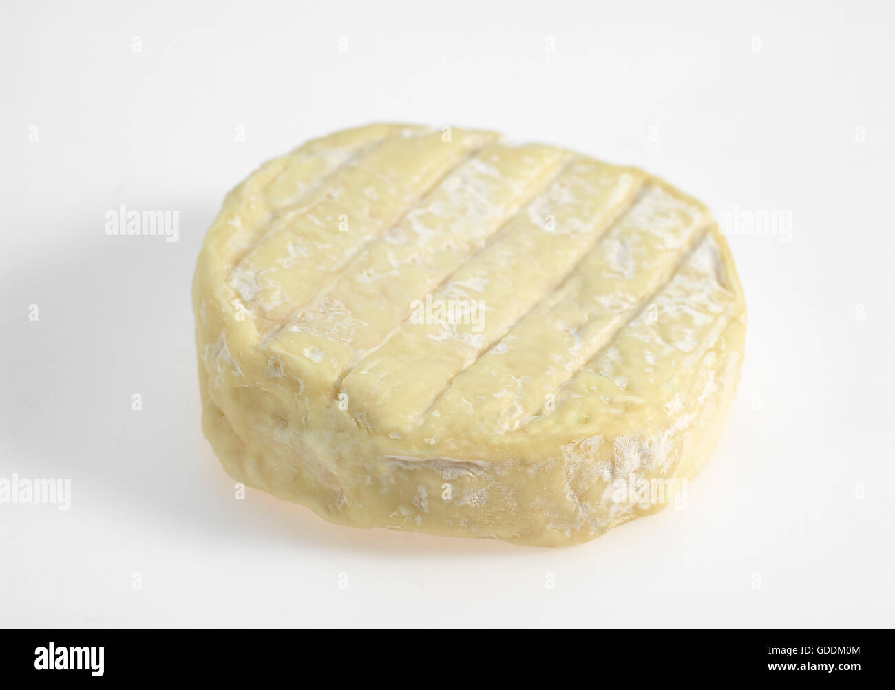SAINT MARCELLIN, A FRENCH CHEESE MADE FROM COW'S MILK Stock Photo - Alamy