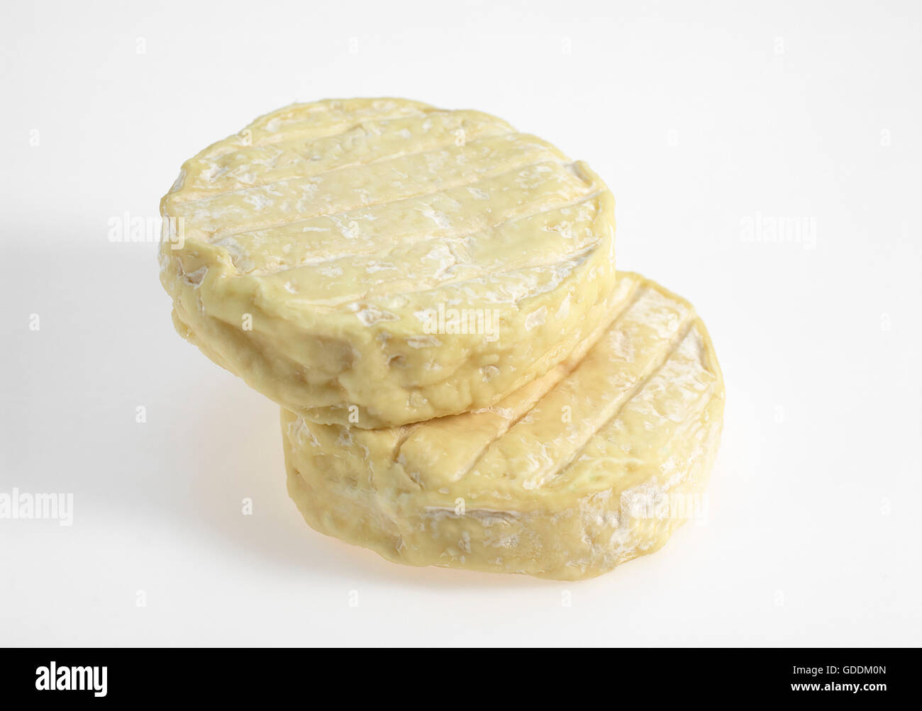 Saint Marcellin, French Cheese produced from Cow's Milk Stock Photo - Alamy