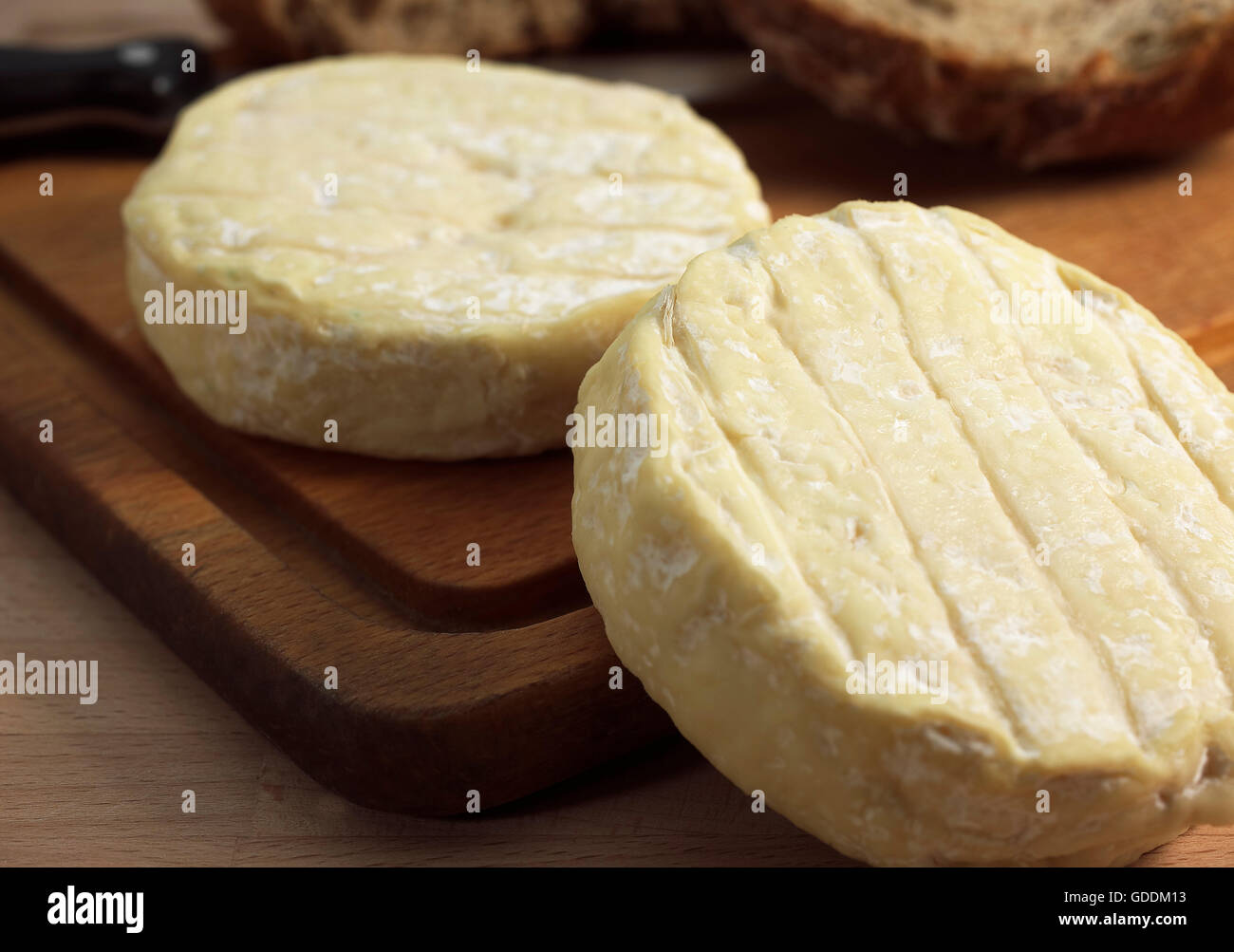 French Cheese Called Saint Marcelin, Cheese produced from Cow's Milk ...