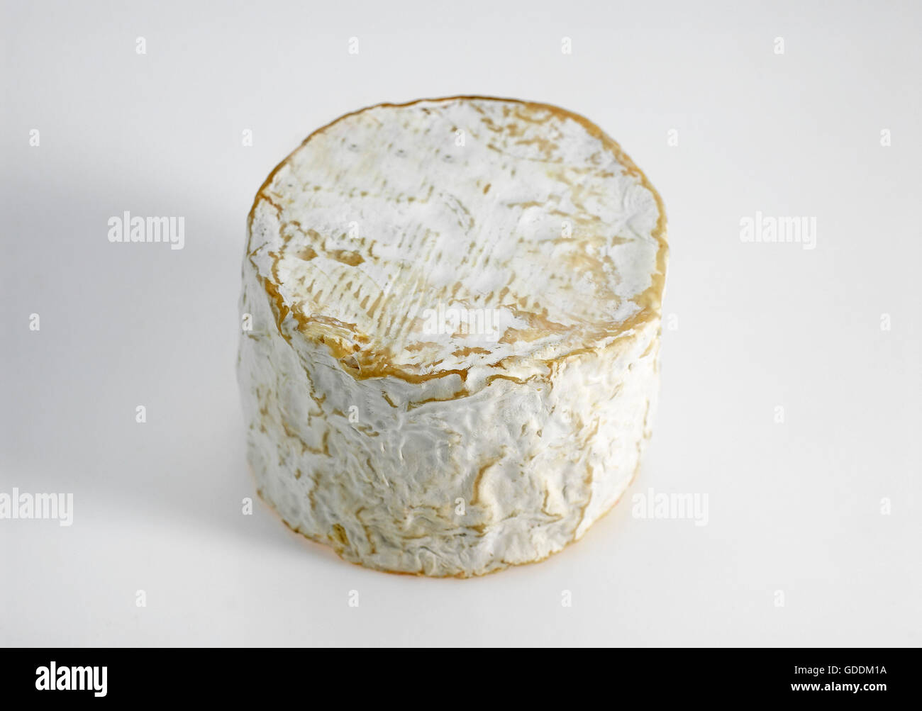 Brillat Savarin, French Cheese made with Cow Milk Stock Photo - Alamy